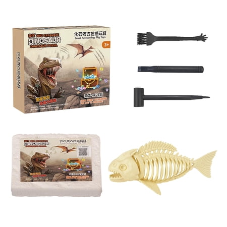 Archeology Discovery Excavation Kits, Science Learning Kits, DIY ...