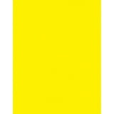 Array® Card Stock, Lemon Yellow, 100 Sheets - Walmart.com