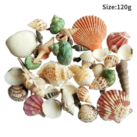 DIY Crafts Wedding For Decorating Practical Fish Tank Sea Shells Home ...
