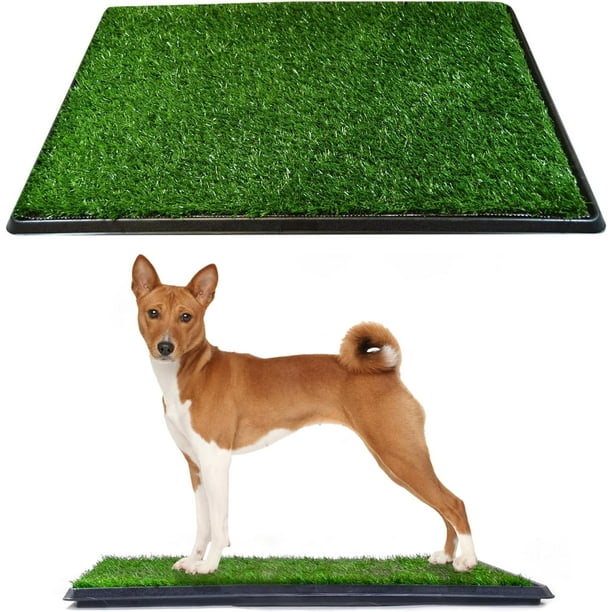 GFDYREE Pet Dog Pee Turf Bathroom Relief System, Durable Weather Proof ...