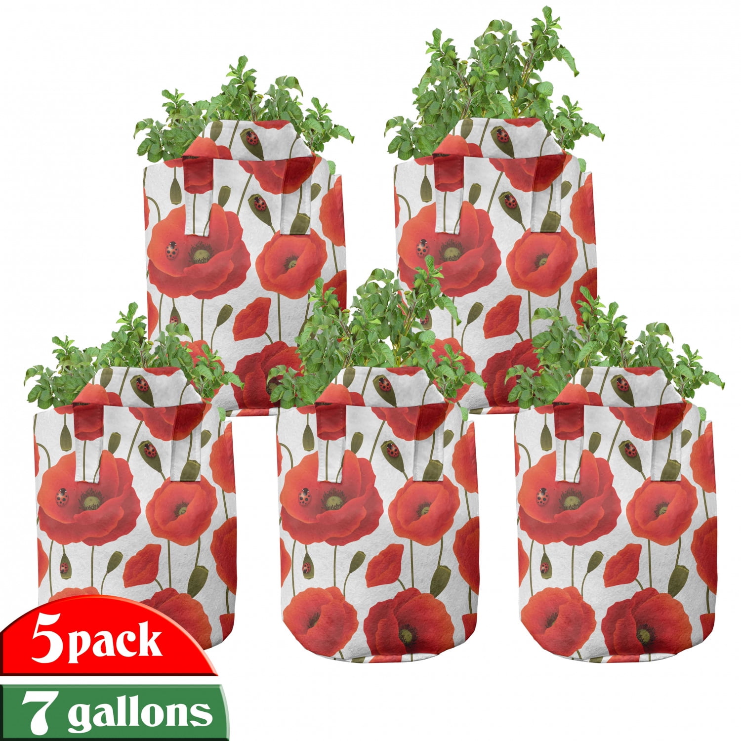 Poppy Grow Bags 5-Pack, Floral Blossom Spring, Heavyduty Fabric Pots ...