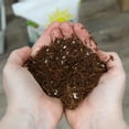 Soil Sunrise Coco Peat Perlite Potting Mix (2 Quarts), Soil Grow ...