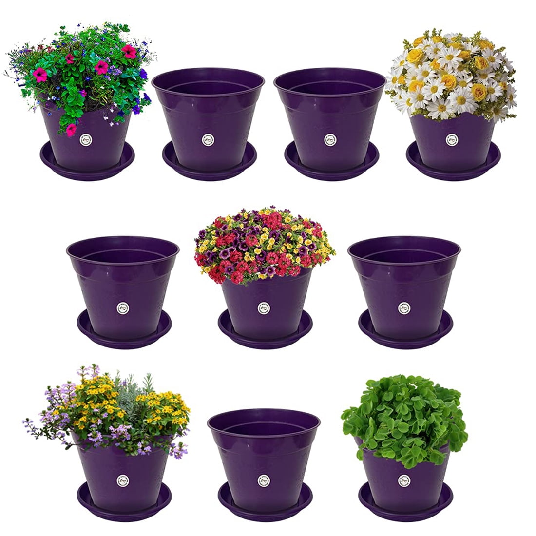 Kraft Seeds Plastic Flower Pot with Bottom Trays - Purple (Pack of 10 ...