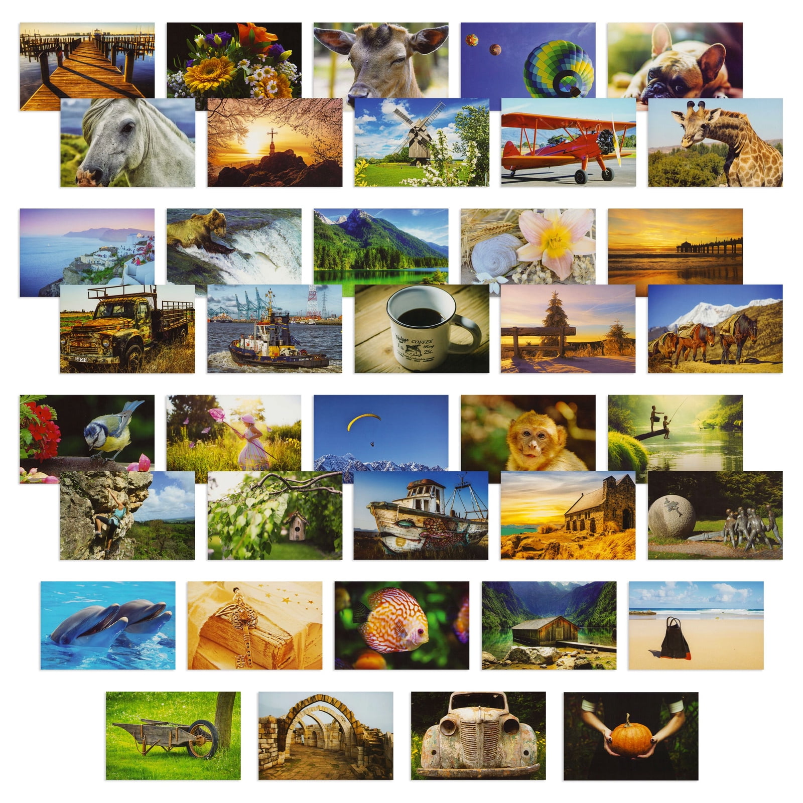 40 Pack Bulk Animal and Travel Postcards From Around the World for ...