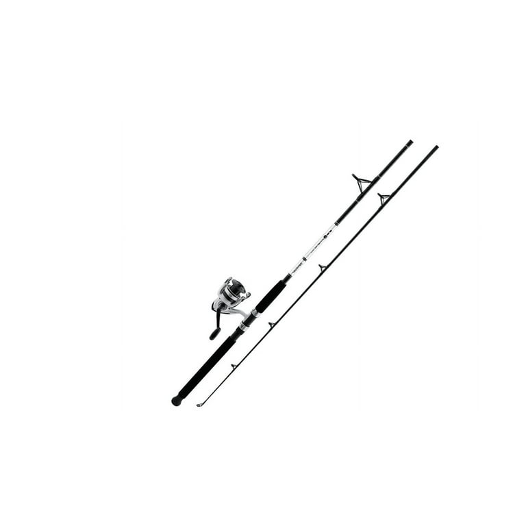 Daiwa D-Wave Spinning Combo Daiwa D-Wave Saltwater Spinning Combo – 8 ...
