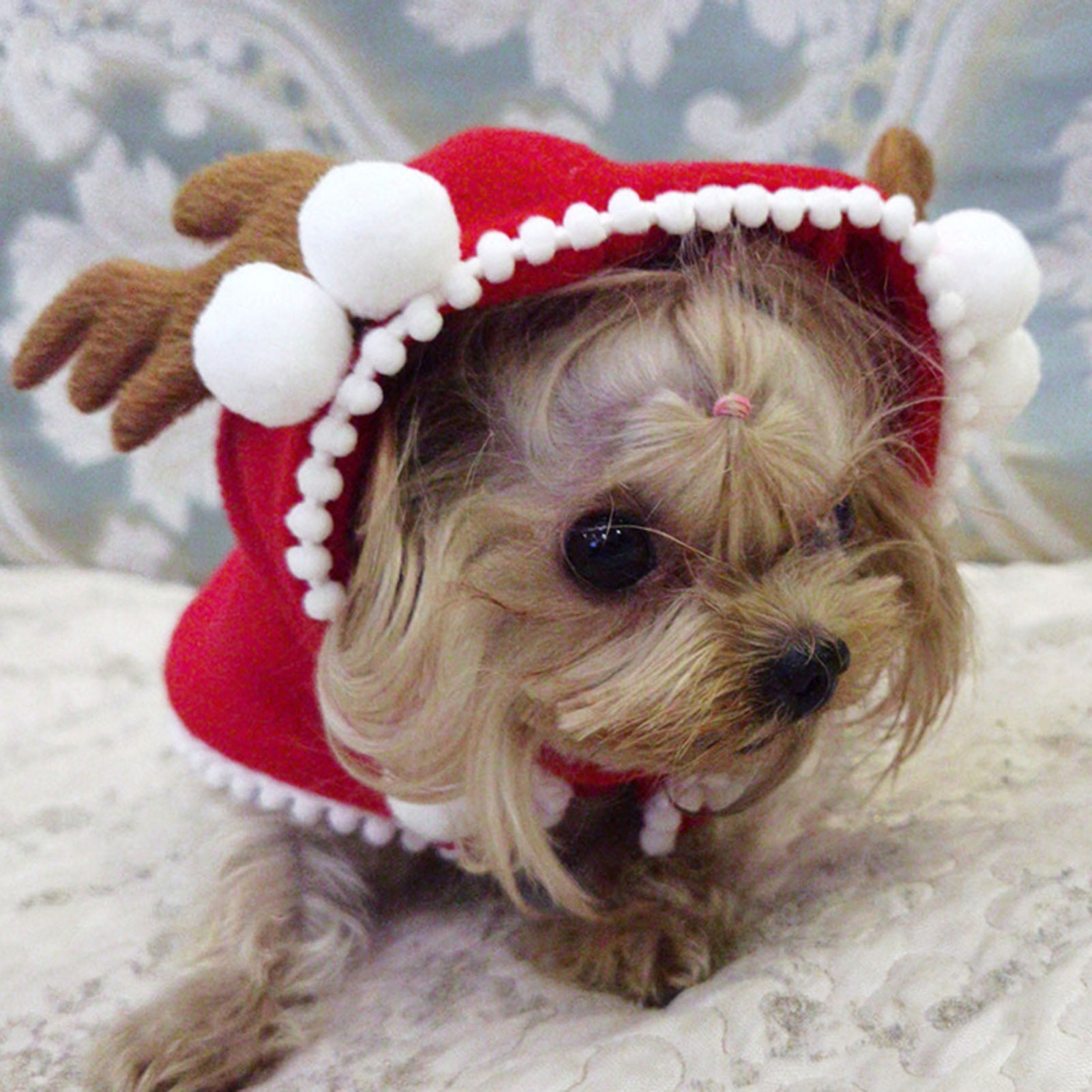 Travelwant Pet Christmas Costume Poncho Cape with Hat Santa Claus Cloak ...