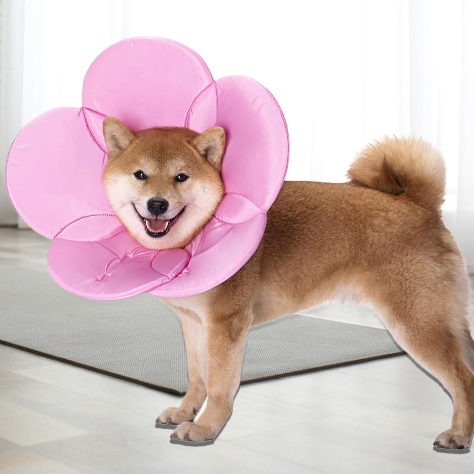 Happy Date Cat Recovery Collar - Cute Sun Flower Neck Cat Cones After ...