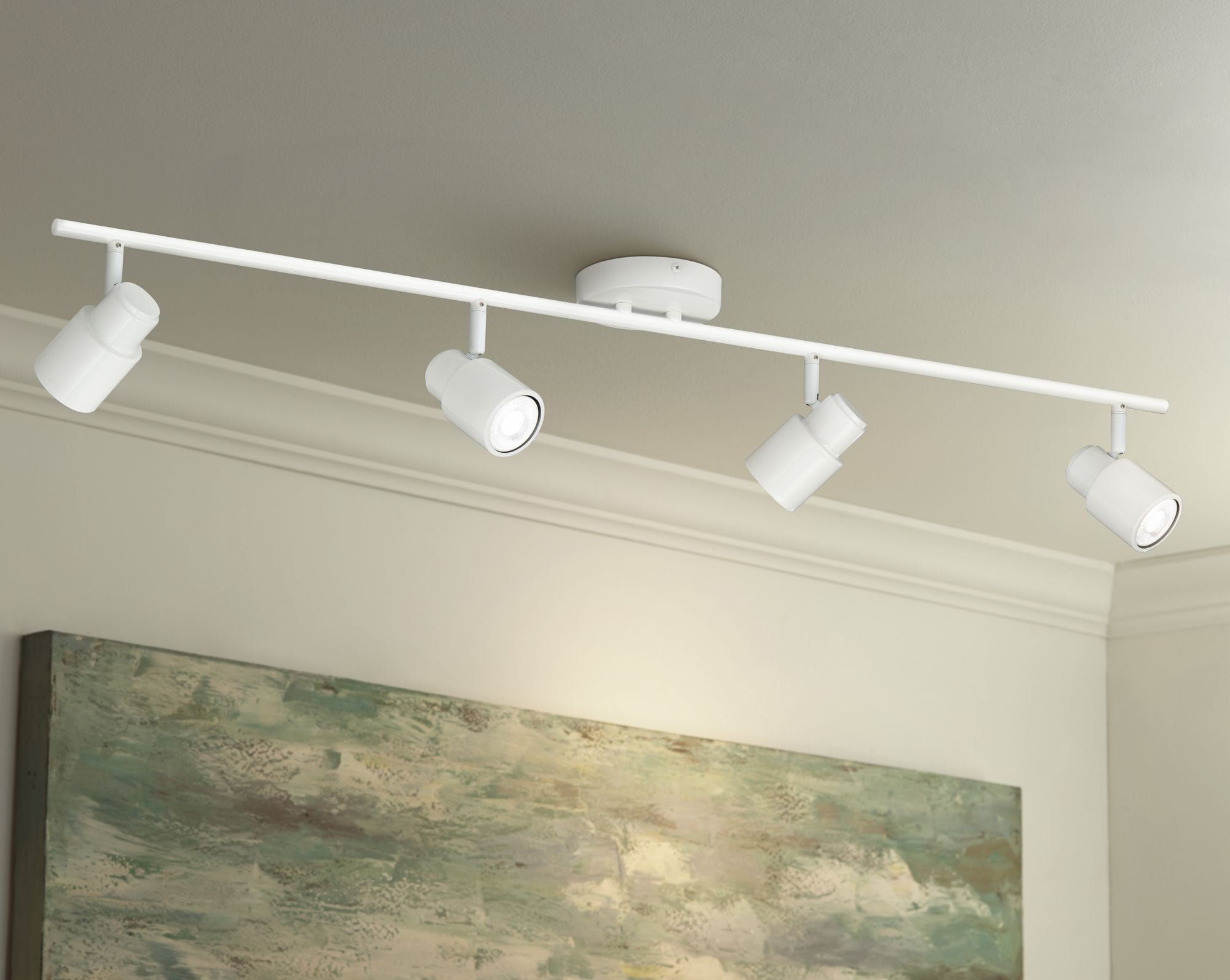 Pro Track Lighting Fixtures | Shelly Lighting