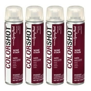 Design Master Colortool Spray Paint 12oz-Burgundy - Walmart.com