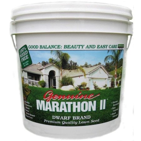 Southland Sod 4 Marathon II Grass Seed Mix, 5 Pounds - Walmart.com
