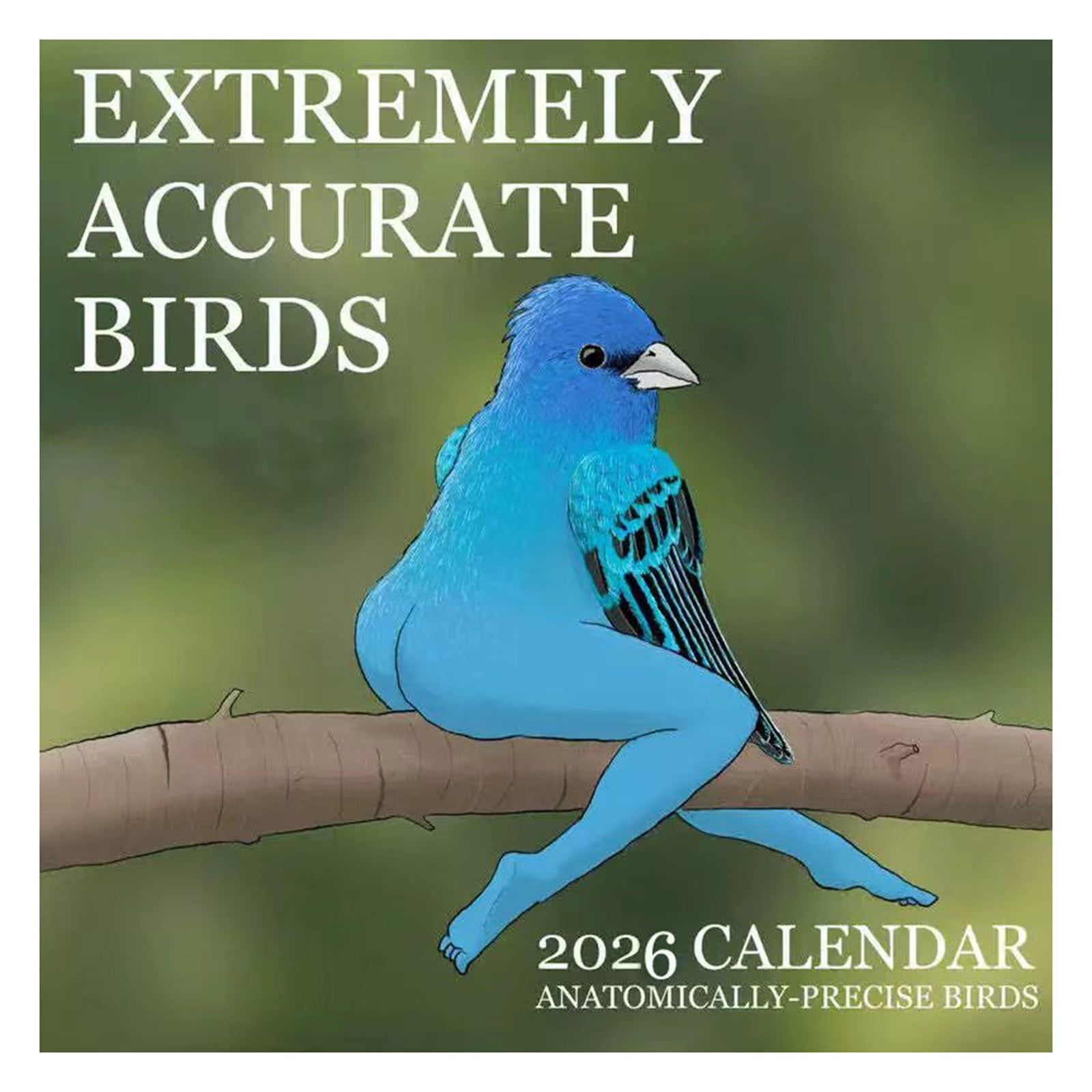 Click here for Liyamei 2026 Calendar Of Extremely Accurate Birds... prices