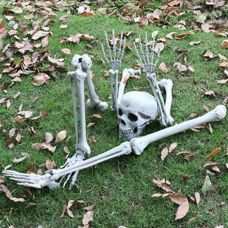 Creepy Halloween Skeleton Set Full Body Body Skeleton Skeleton Body ...