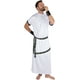 Adult Men's Grecian Toga Costume by Capital Costumes(Extra Large ...