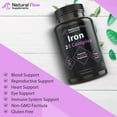 Natural Flow Iron Supplement, Gentle on Stomach, 2-in-1 Premium Complex ...