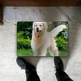 SKYSONIC Doormat Golden Retriever in The Garden Lightweight Non Slip ...