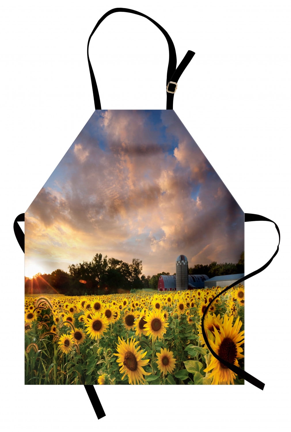 Minnesota Apron, Field of Yellow Sunflowers in a Minnesota Farmland ...