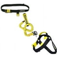 Fusion Pets K9 Hands Free Walking Fitness Pack, 10 to 30-Pound ...