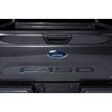 Putco 2021 Ford F-150 Ford Lettering (Cut Letters/Black Platinum ...