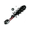 FCS Automotive International Complete Strut Assembly - Walmart.com