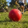 Playground Ball Grass Dodgeball 8.5 Inch Durable Soft Bounce Kickball ...