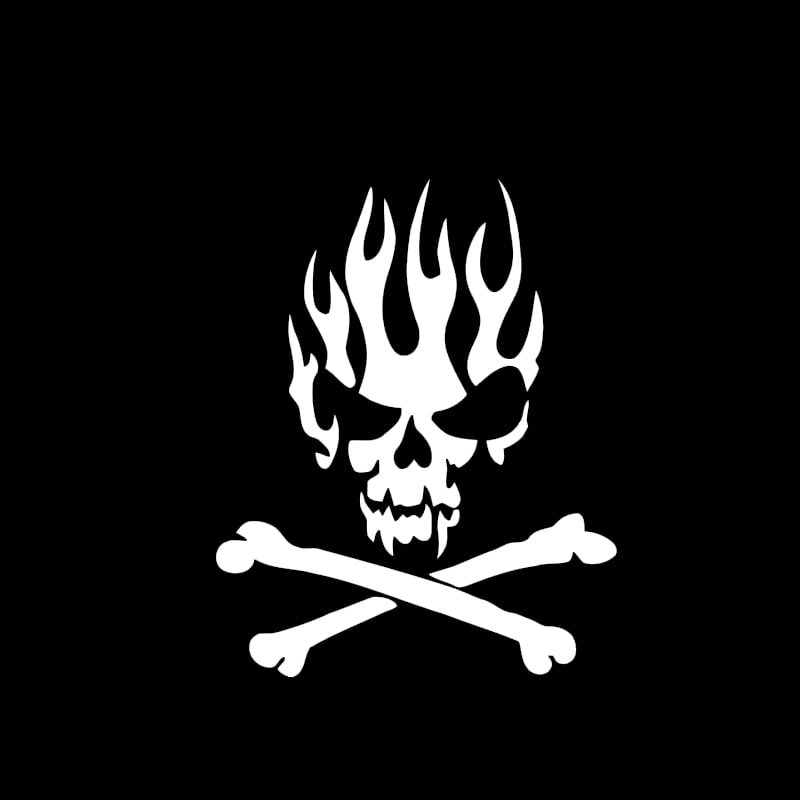 skull flame and cross-bones vinyl decal sticker | cars trucks vans ...