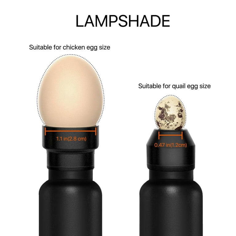 Duck Egg Under Flashlight