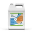 Aquascape IonGen Probe for the G2 System - Walmart.com