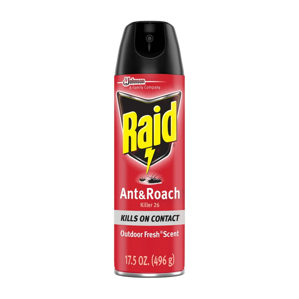 Raid Ant & Roach Killer 26, Outdoor Fresh Scent, 17.5 oz - Walmart.com ...