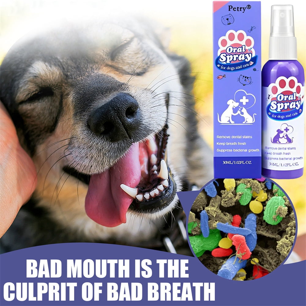 How Do I Keep My Dogs Breath Fresh
