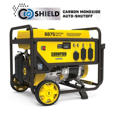 Champion 4000-Watt Electric Start Tri Fuel RV Ready Portable Generator ...
