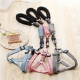 D Buckle Dog Leash for Large Dogs Harnesses Strong Multicolored Leash ...