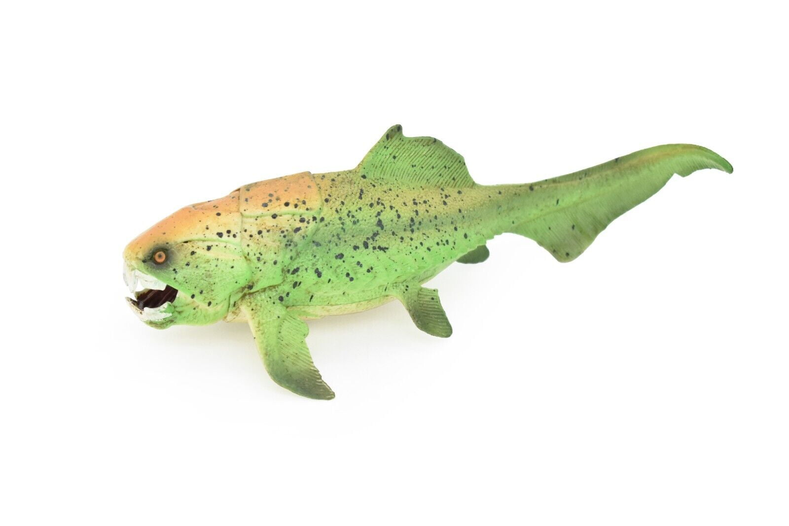 Dunkleosteus, Prehistoric Fish, Dinosaur, Very Realistic Rubber Figure ...