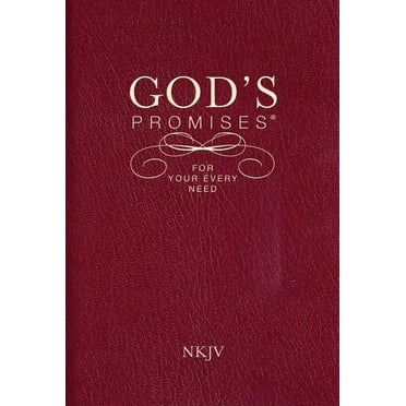Praying Hyde, Apostle of Prayer : The Life Story of John Hyde ...