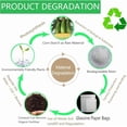 3x4 In ECO Friendly Compostable Biodegradable Glassine Paper Bags for ...