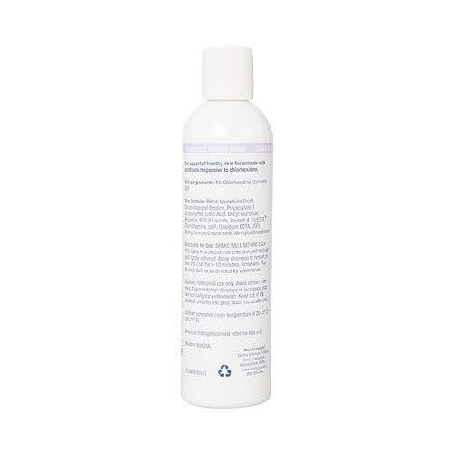 DechraTopical TrizCHLOR 4 Shampoo for Dogs, Cats & Horses (16oz), Model ...