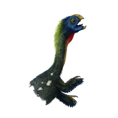 Watercolor portrait of Ajancingenia yanshini. Ajancingenia yanshini was ...