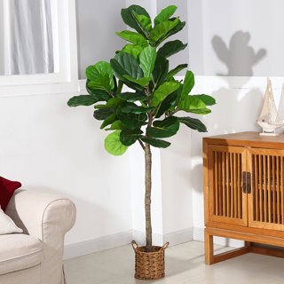 Vickerman 5' Artificial Pandanus Palm Tree in a Black Plastic Pot ...