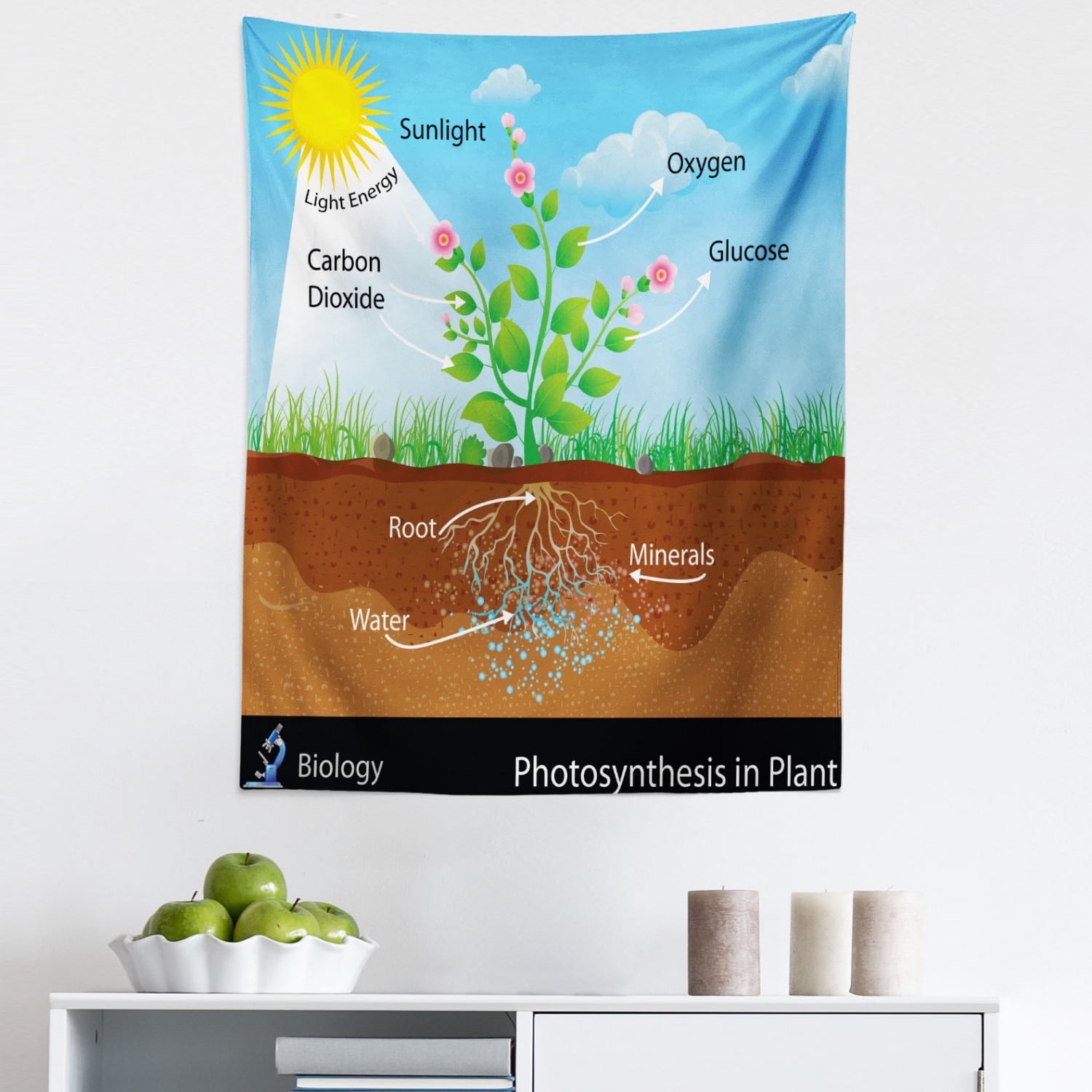 Science Tapestry, Photosynthesis in Plant Diagram Biology Botany ...