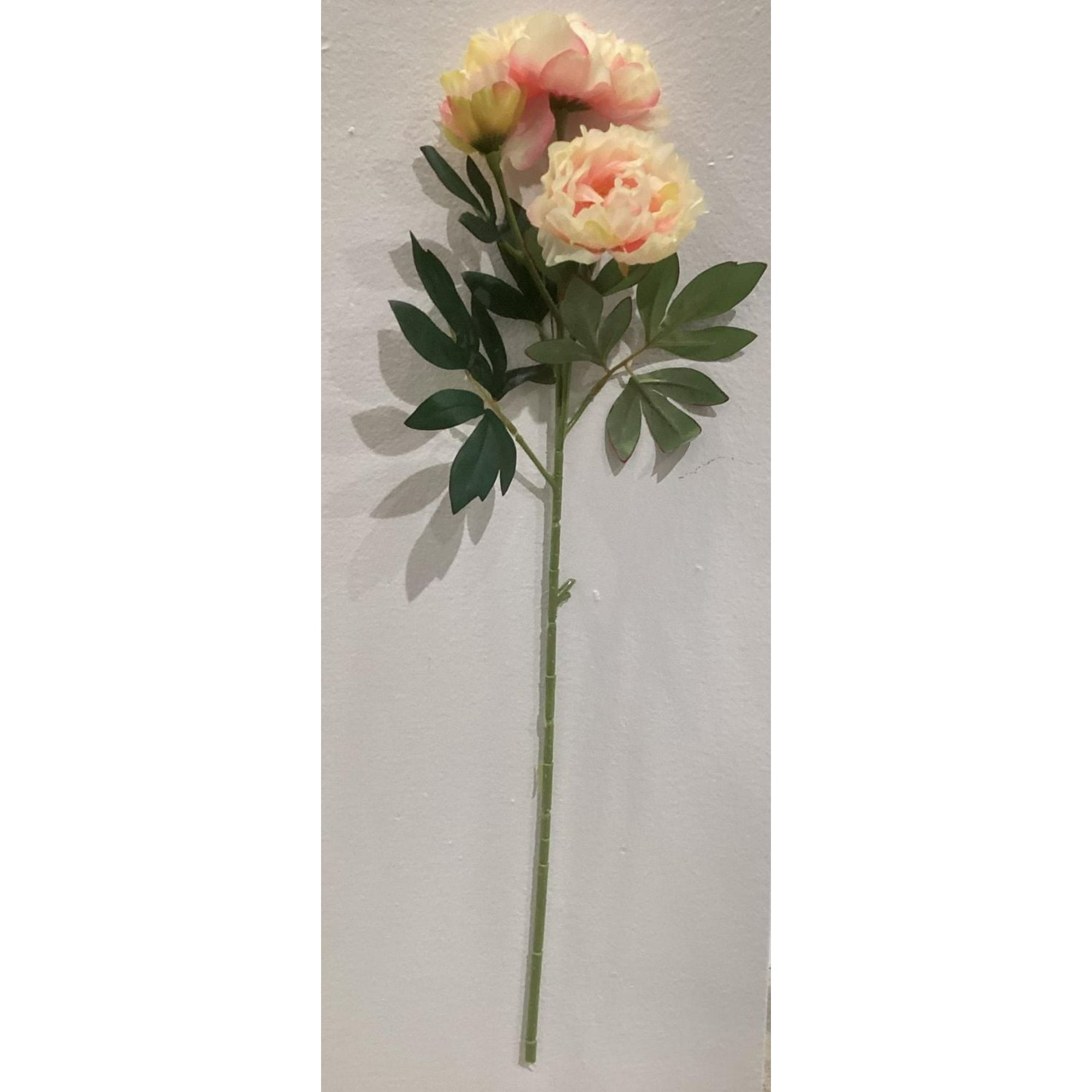 Click here for Permafleur Peony Flowers Branch prices