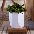 Bloem Tuxton 8" Round Hexagon White Resin Planter Pot with Optional ...
