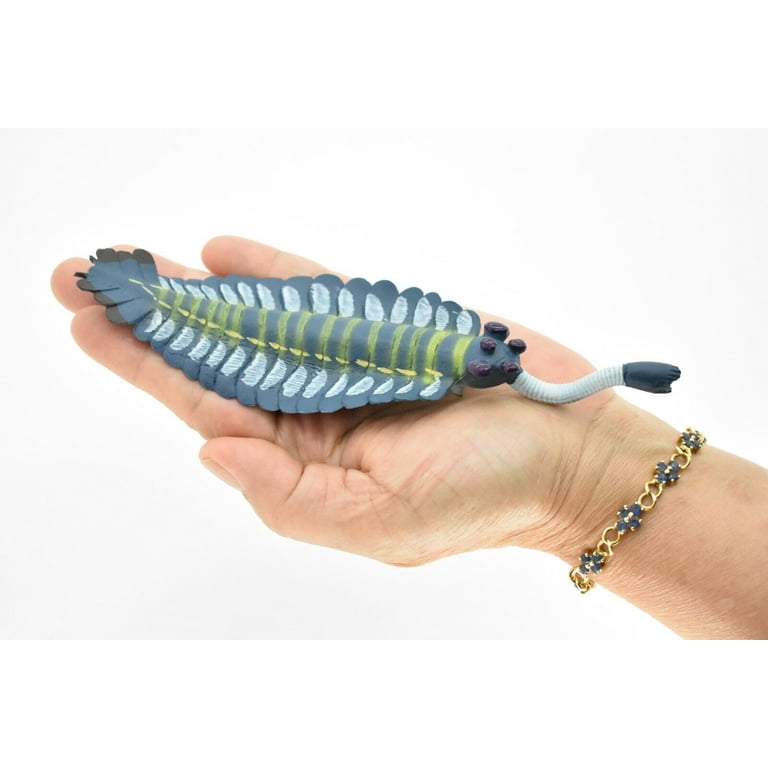 Opabinia Prehistoric Creatures