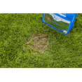 Scotts PatchMaster Lawn Repair Mix Sun + Shade Mix, 4.75 lbs. - Walmart.com