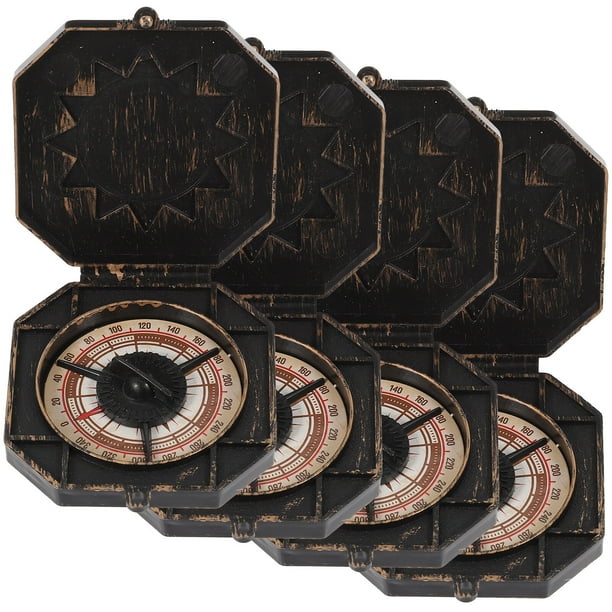 Compass Pirate