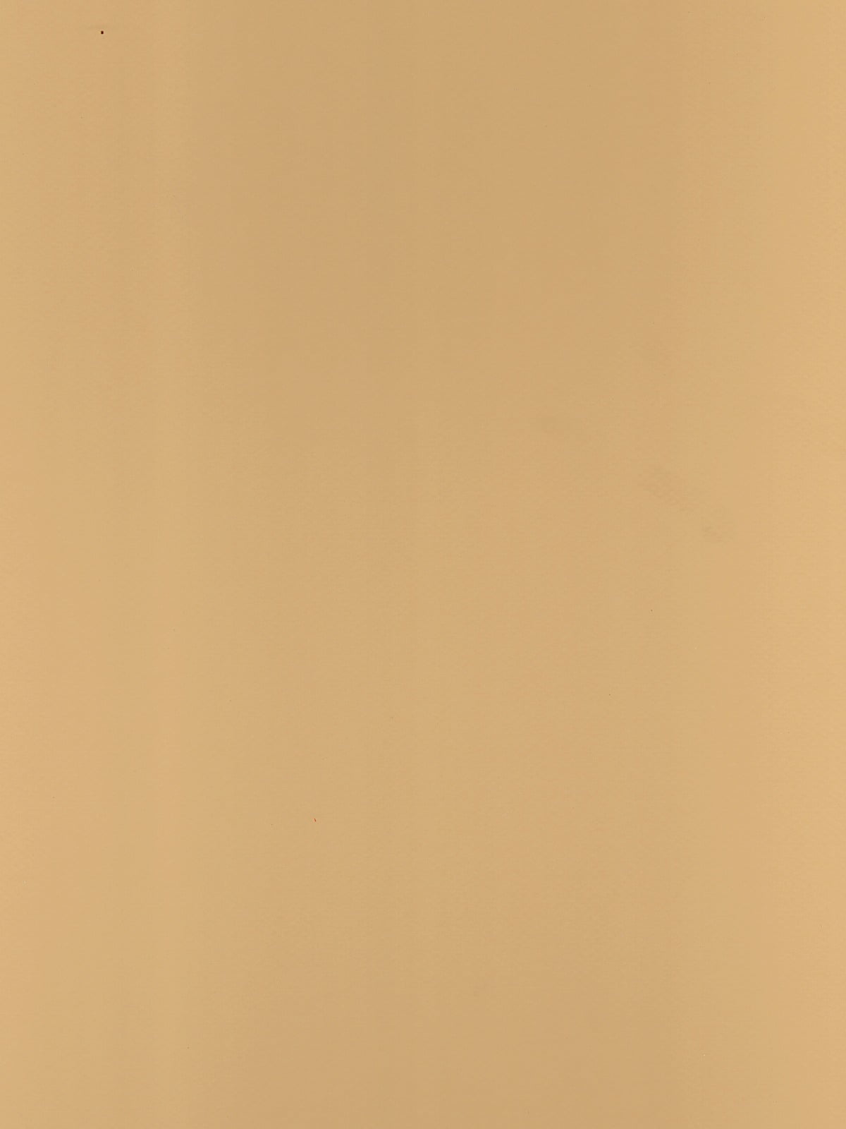 Mi-Teintes Mat Board champagne, 16 in. x 20 in. (pack of 5) - Walmart.com