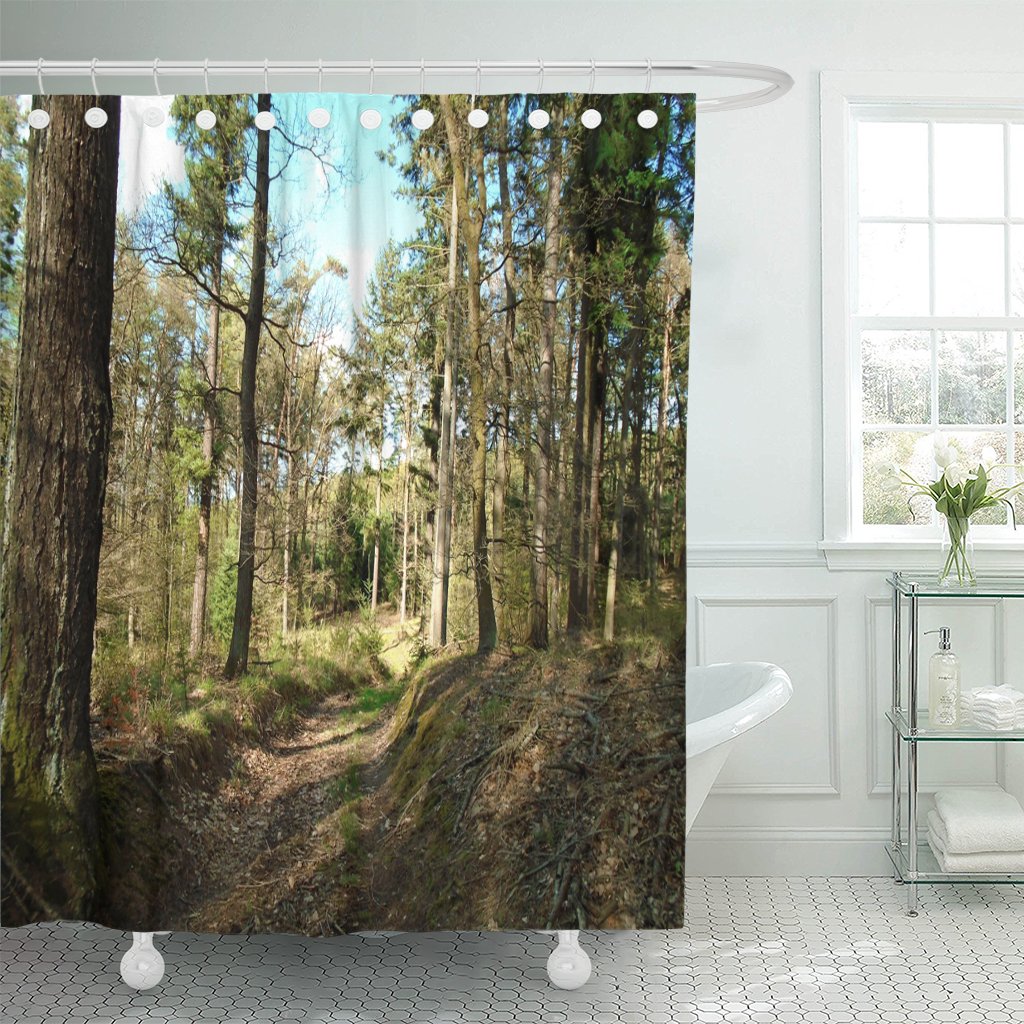 PKNMT Backwoods Spring View of Forest and Clear Sky Brake Shower ...