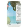Faraon Coconut Juice with Pulp, 10.5 Fl Oz - Walmart.com