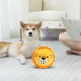 Squeaky for Kids Tug for Puppies Dog for Large Dogs without Squeaker ... Squeaky for Kids Tug for Puppies Dog for Large Dogs without Squeaker ...
