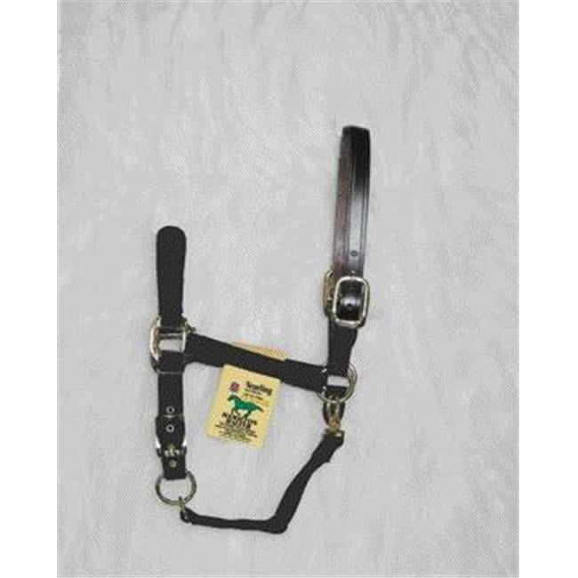 Hamilton Halter Company - Adjustable Halter With Leather Headpole ...