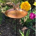 Bird and Butterfly Oasis Pollinator Bird Bath - Walmart.com