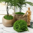 Artificial Moss for Planters Fake Moss Decor for Potted Plants ...